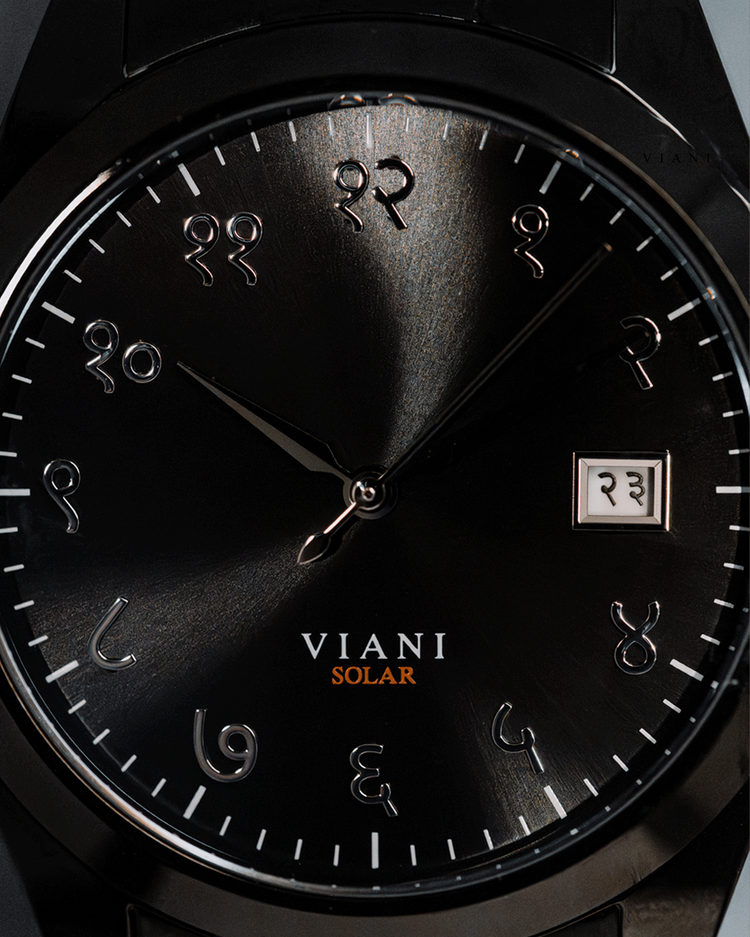 VIANI Watch Company
