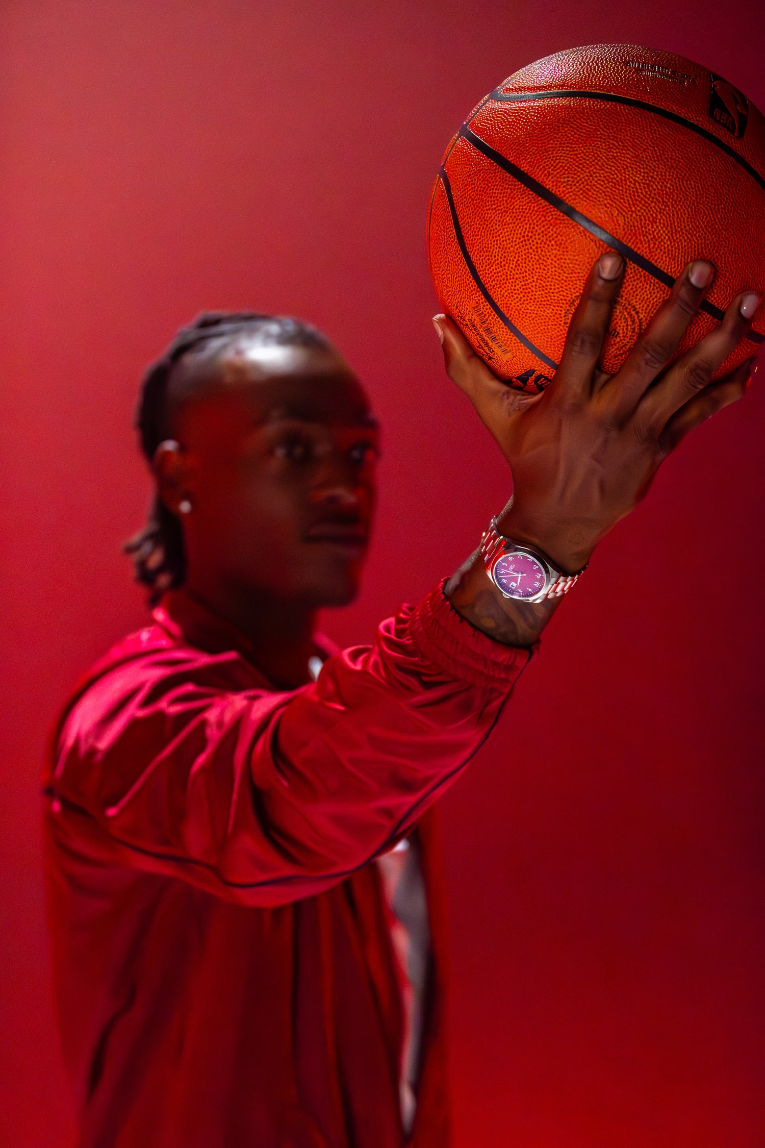 Raleigh Red – VIANI