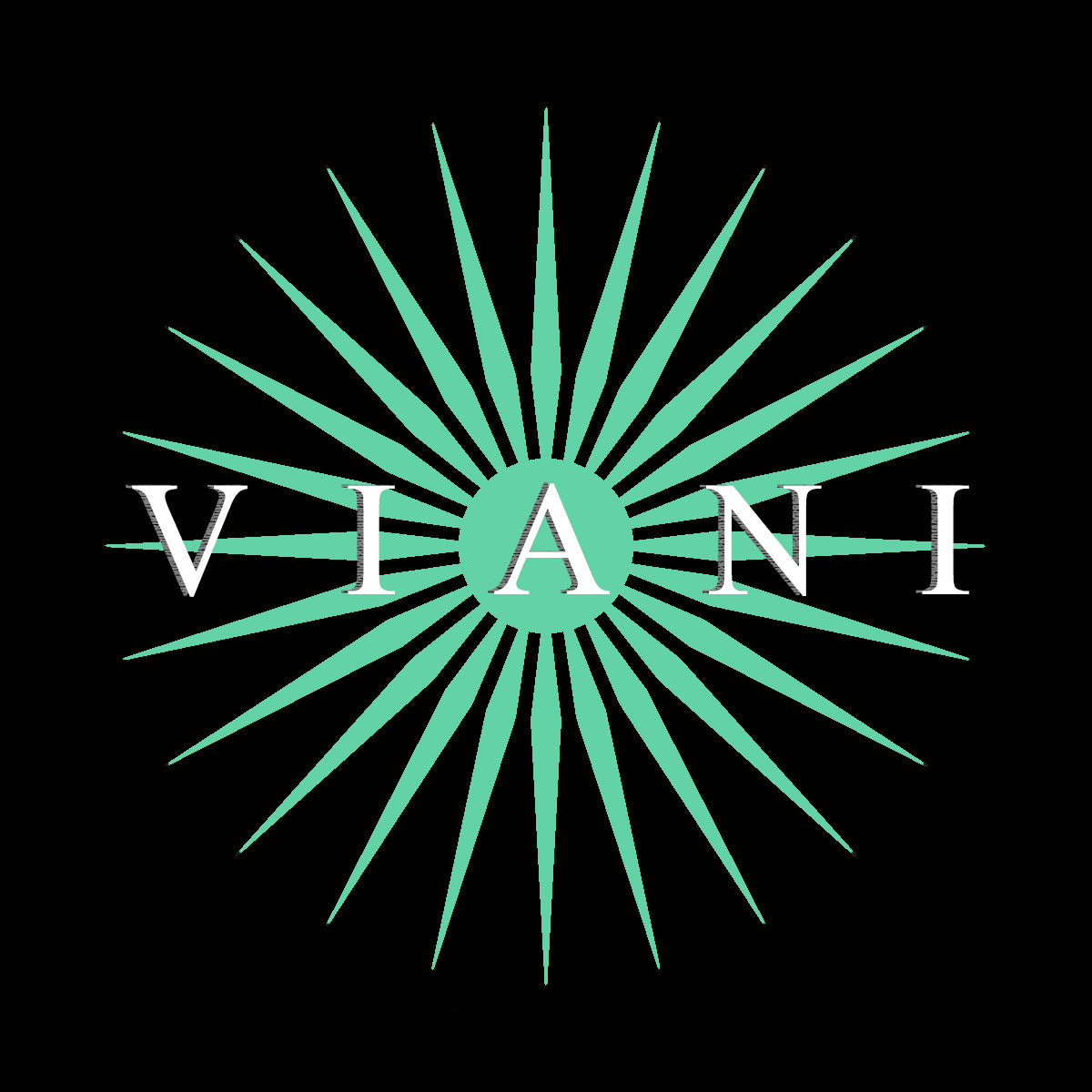 VIANI Watch Company